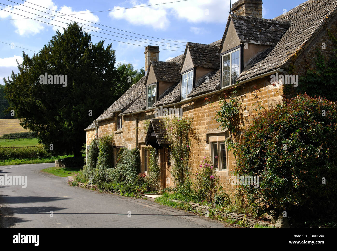 Icomb hi-res stock photography and images - Alamy