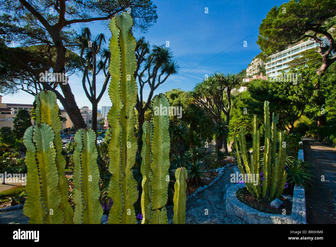 Alameda Gardens Gibraltar Stock Photo - Alamy