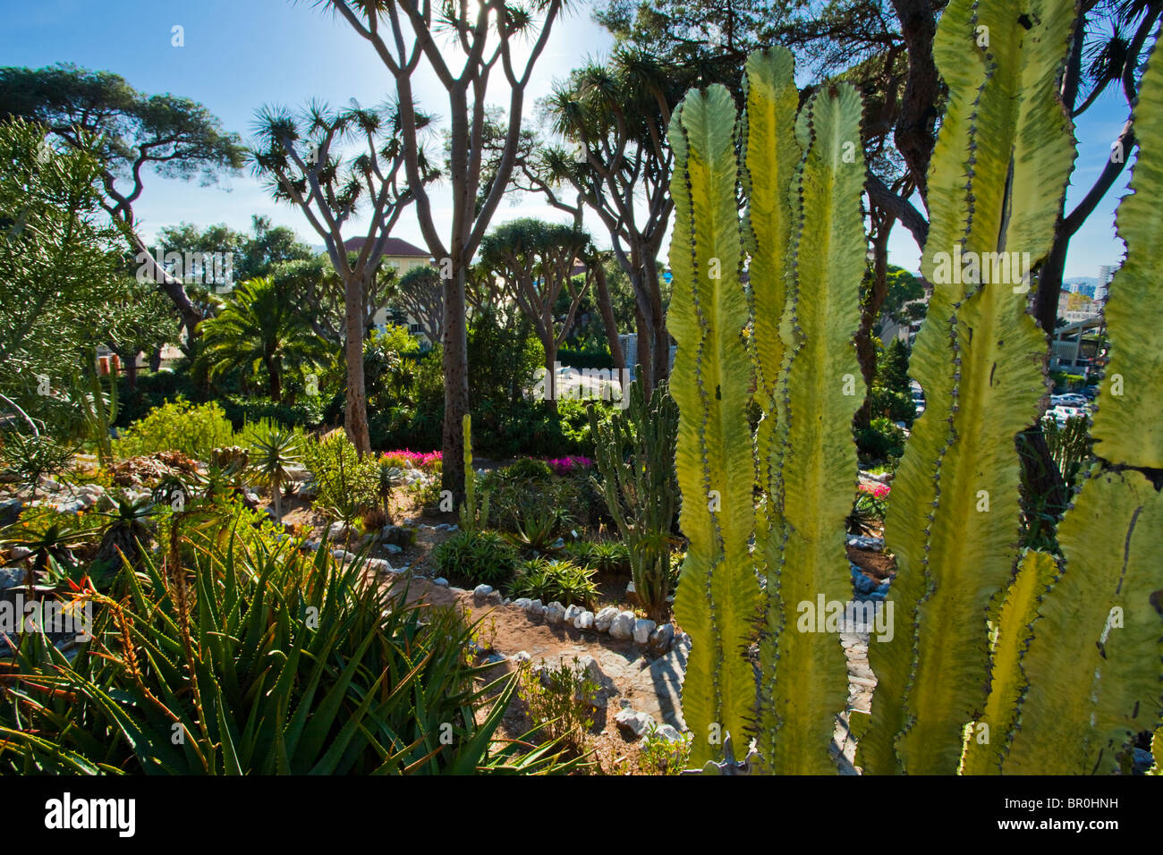 Alameda Gardens Gibraltar Stock Photo - Alamy