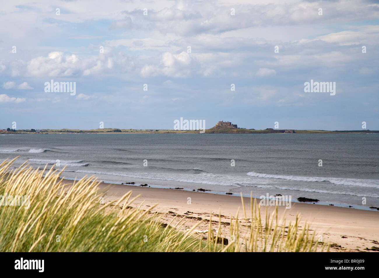 ross back sands northumberland Stock Photo - Alamy