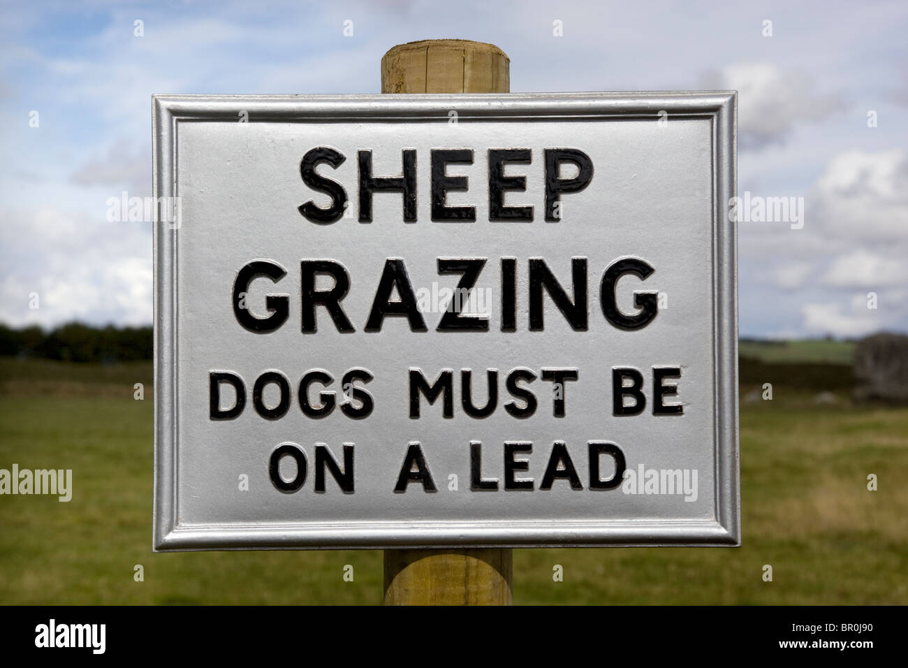 Sheep grazing sign hi-res stock photography and images - Alamy