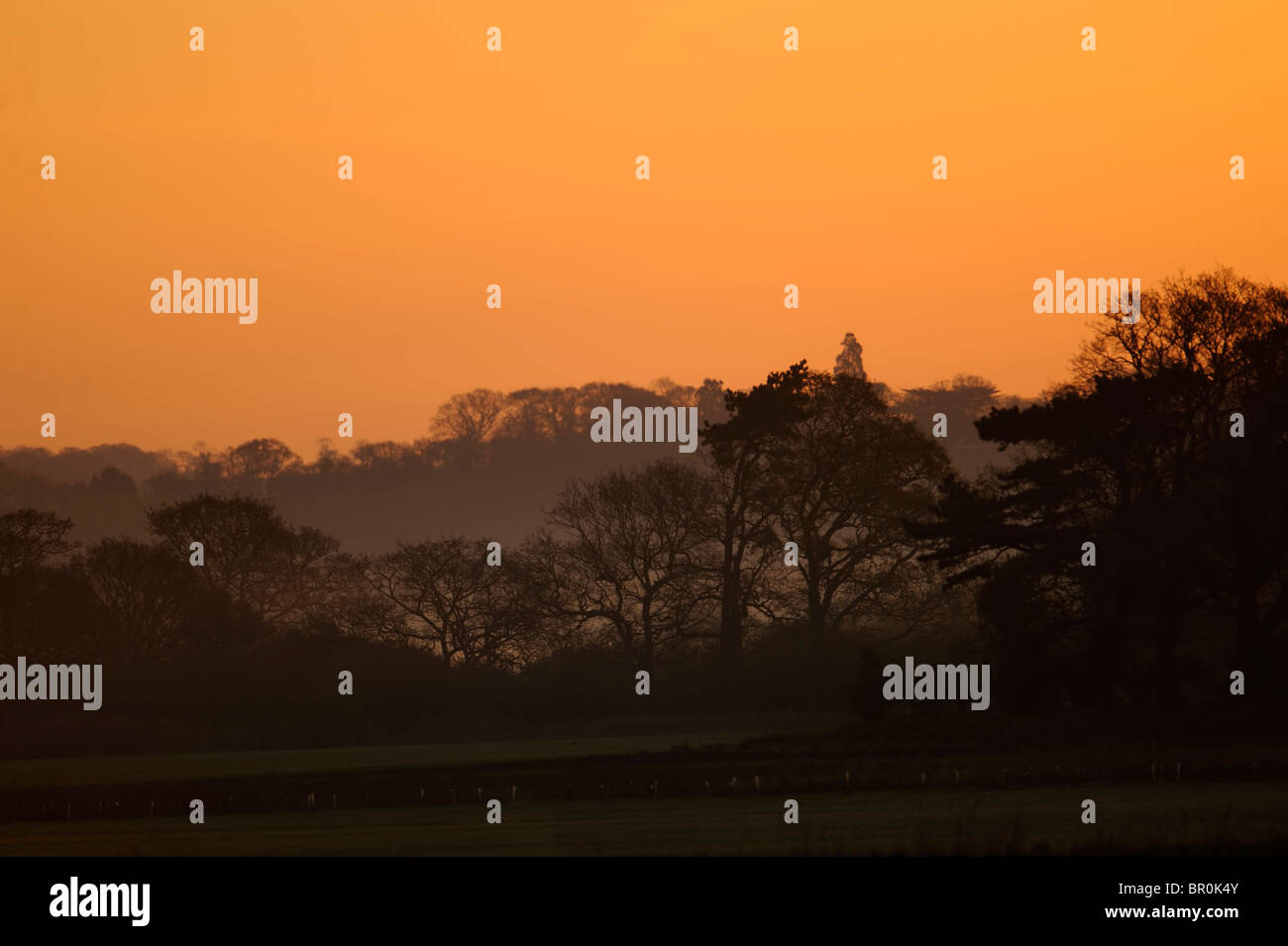 mist through the trees gives a sense of depth and perspective Stock ...