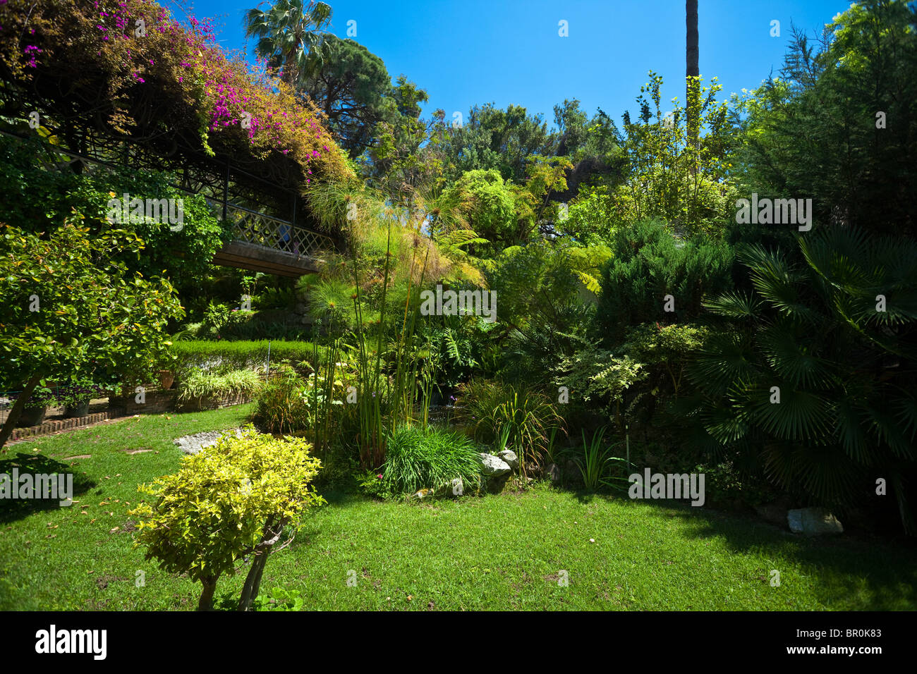 Alameda Gardens Gibraltar Stock Photo - Alamy