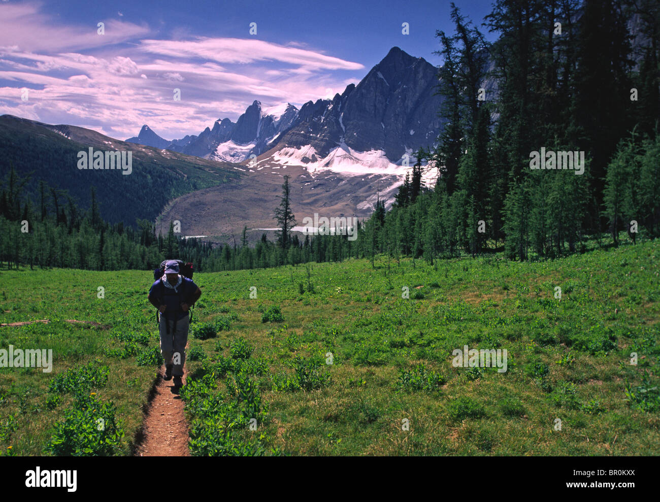 Man hiking in canadian mountains hi-res stock photography and images ...