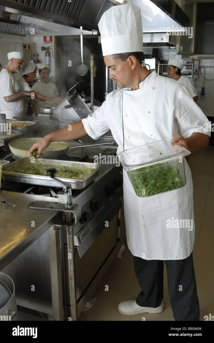 Chef working in a professional environment Stock Photo - Alamy