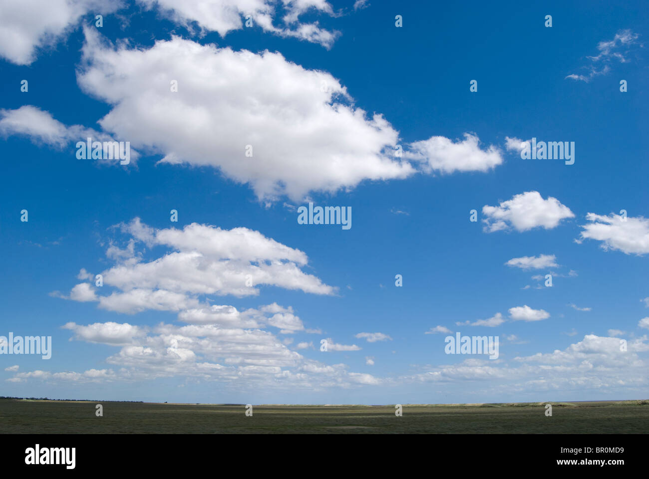 Horizon Line Photography