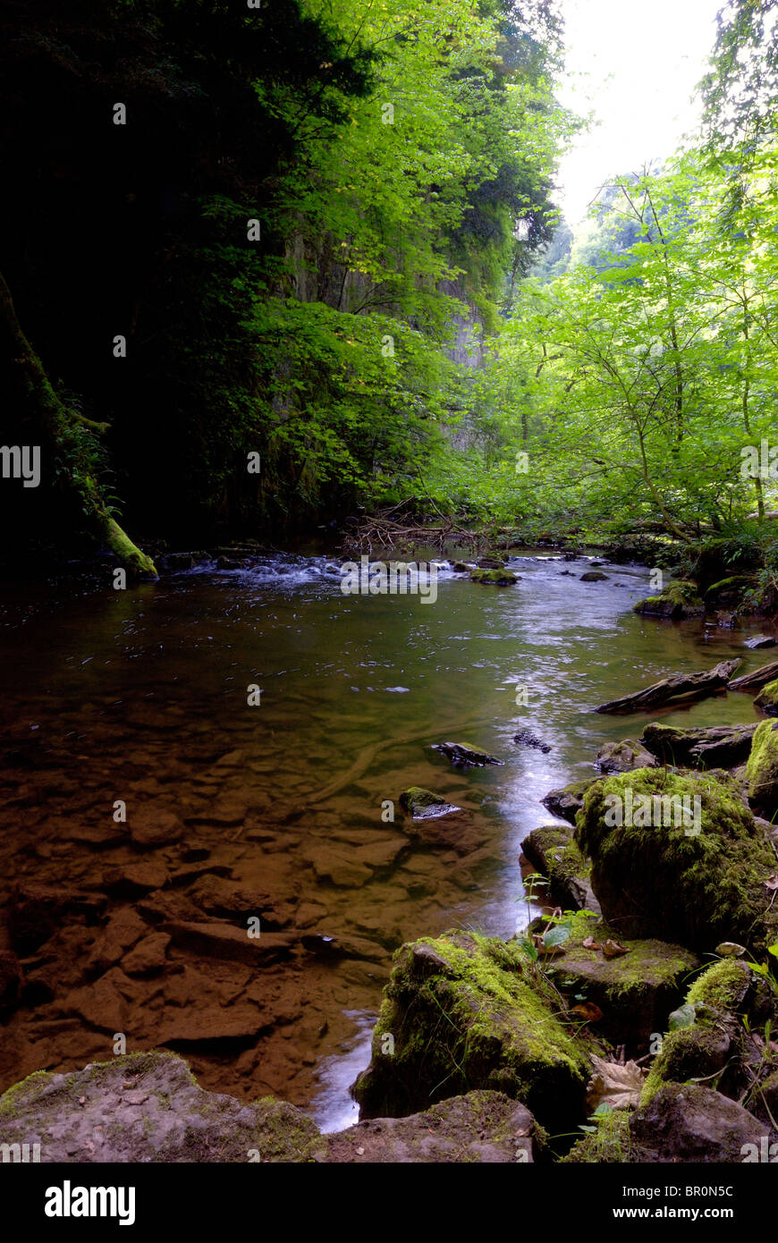 Chee dale Derbyshire england UK Stock Photo - Alamy