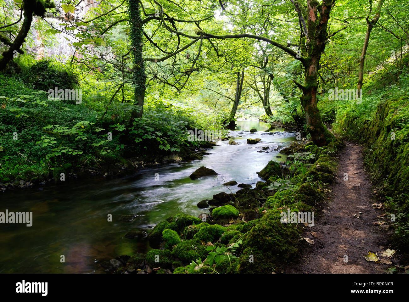 Chee dale Derbyshire england UK Stock Photo - Alamy
