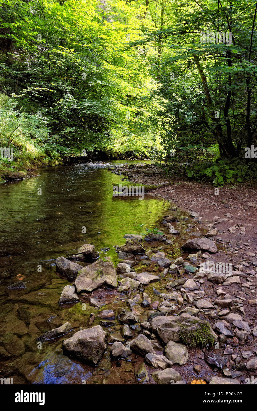 River wye chee dale hi-res stock photography and images - Alamy