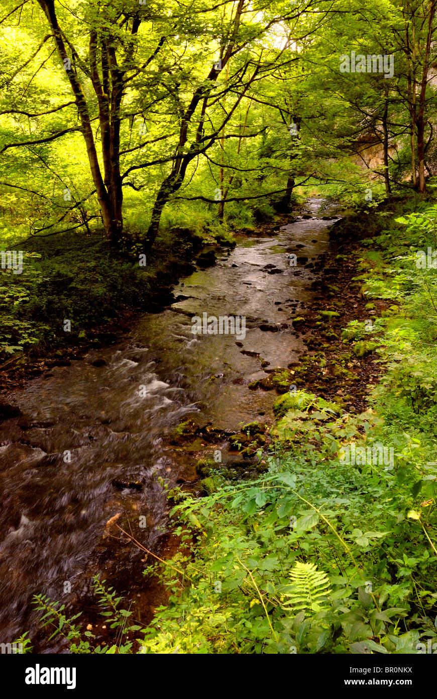 Chee dale Derbyshire england UK Stock Photo - Alamy