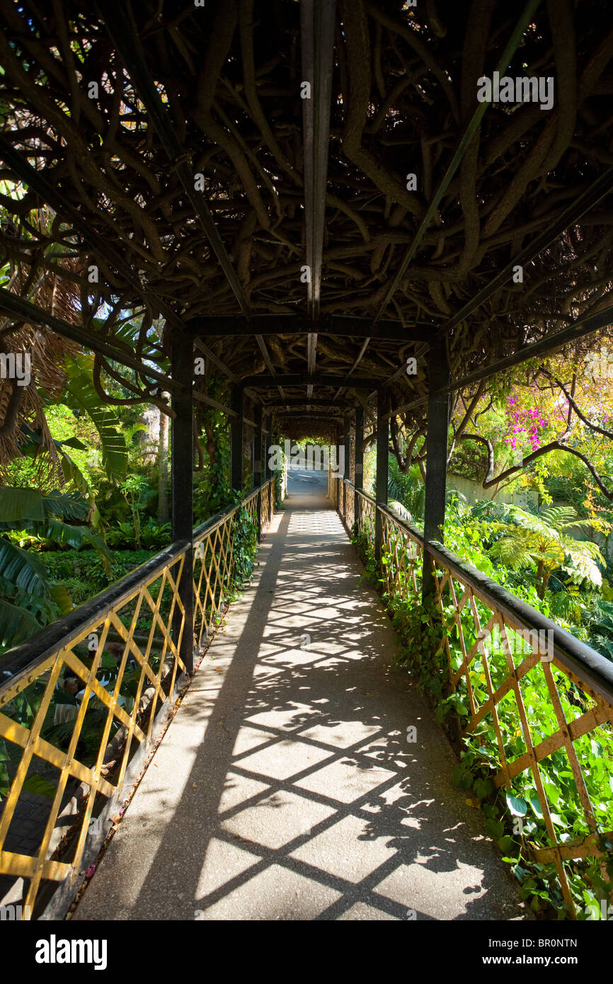 Alameda Gardens Gibraltar High Resolution Stock Photography and Images ...