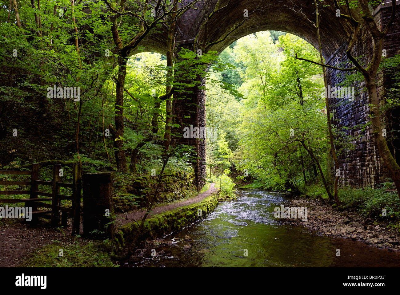 Chee dale Derbyshire england UK Stock Photo - Alamy