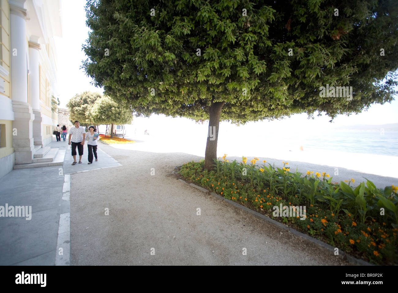 Trees on the Riva Stock Photo - Alamy