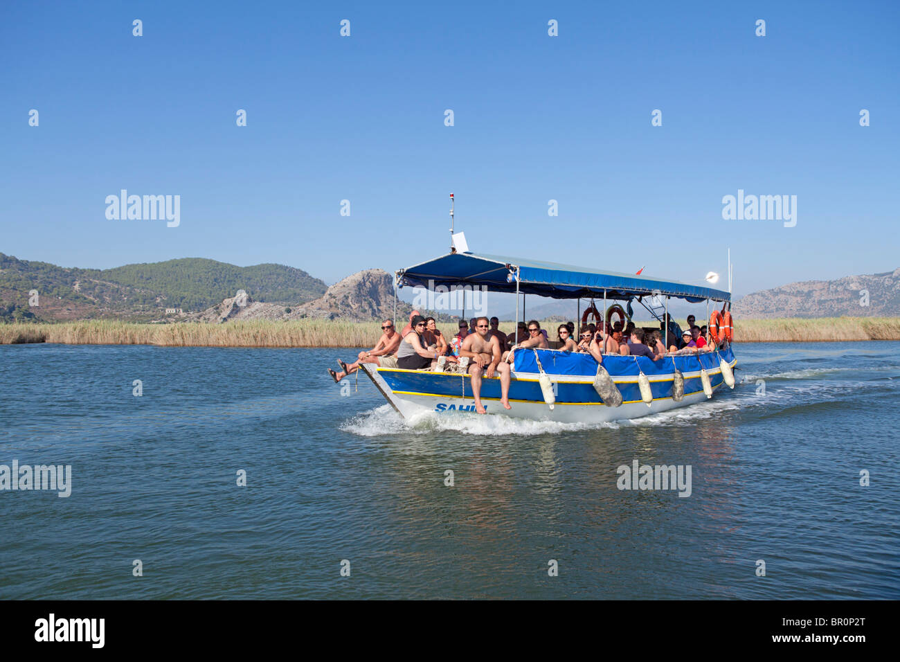 Turkish water reed hi-res stock photography and images - Alamy