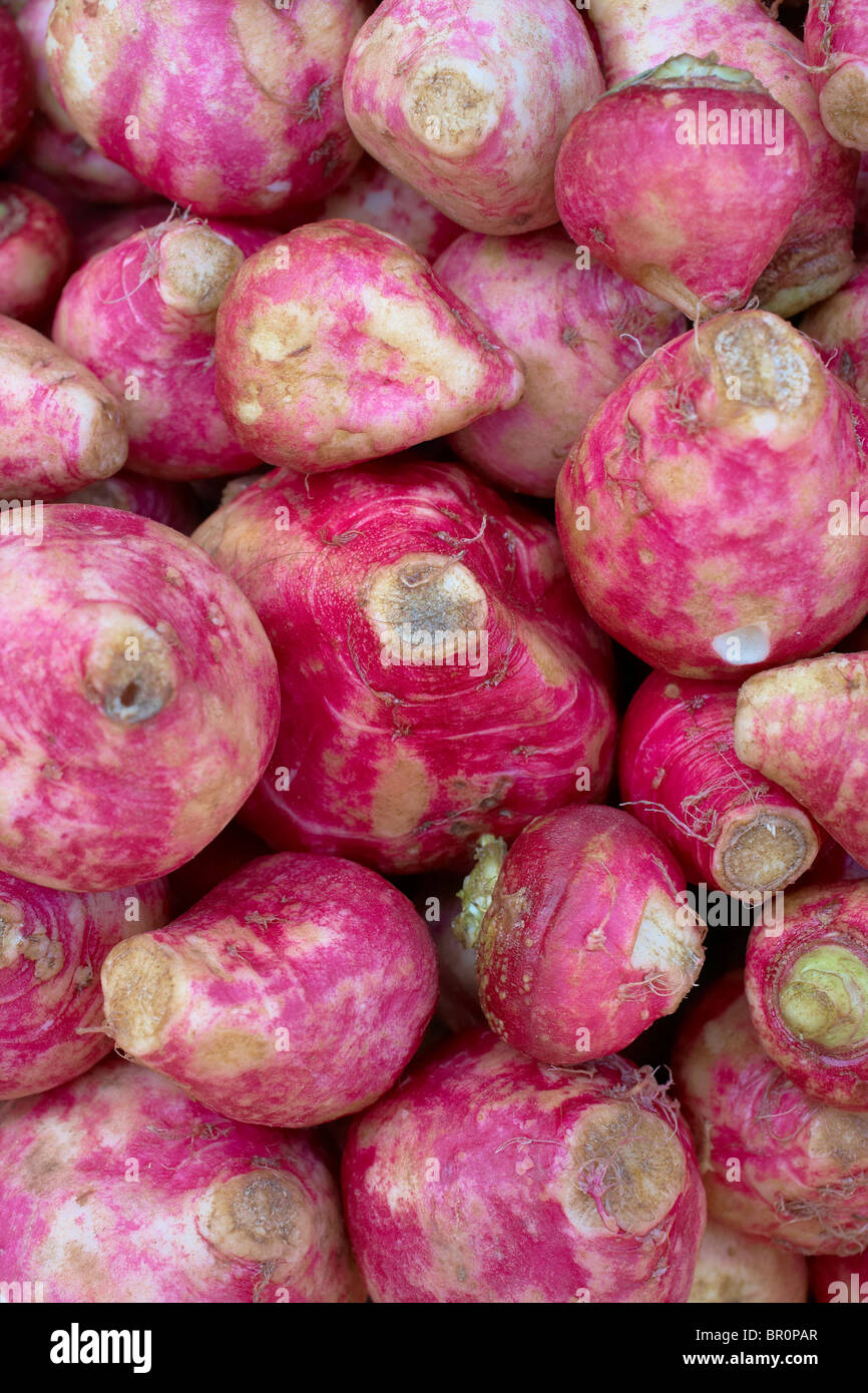 Red turnips at morning market, Bikaner Stock Photo - Alamy