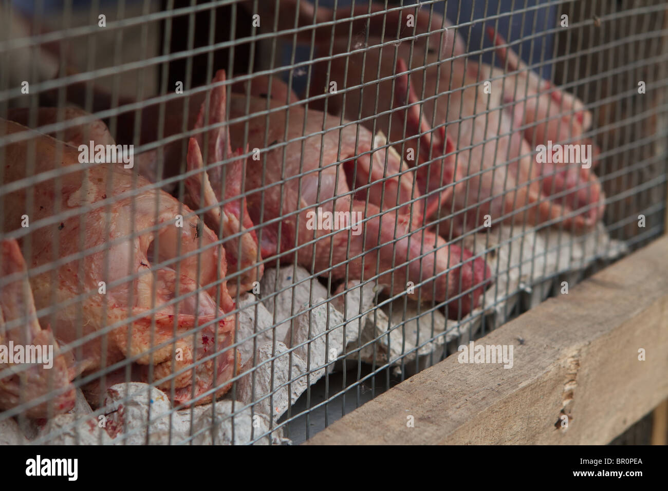Featherless hi-res stock photography and images - Alamy