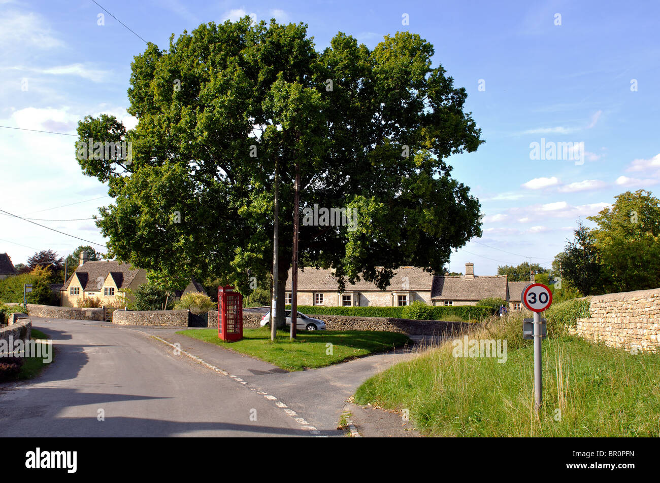 Large oak tree in Windrush village, Gloucestershire, England, UK Stock ...