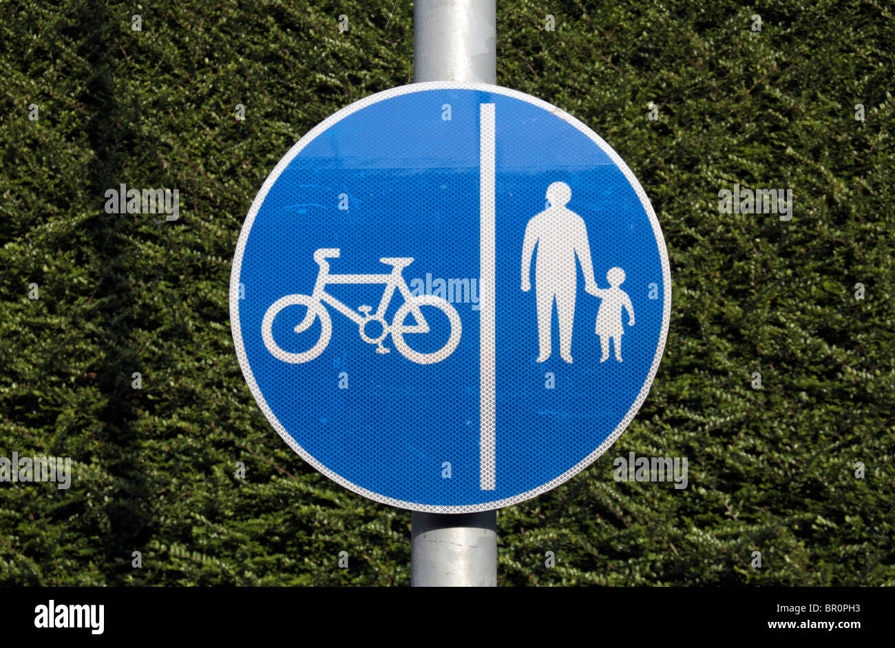 Shared bicycle pedestrian path hi-res stock photography and images - Alamy