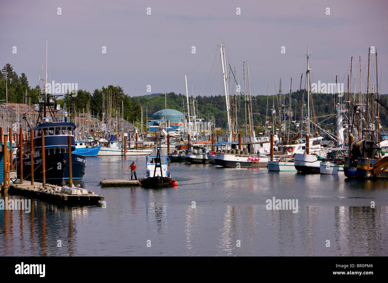 NEWPORT, OREGON, USA - fishing boats in harbor, on Oregon coast Stock ...