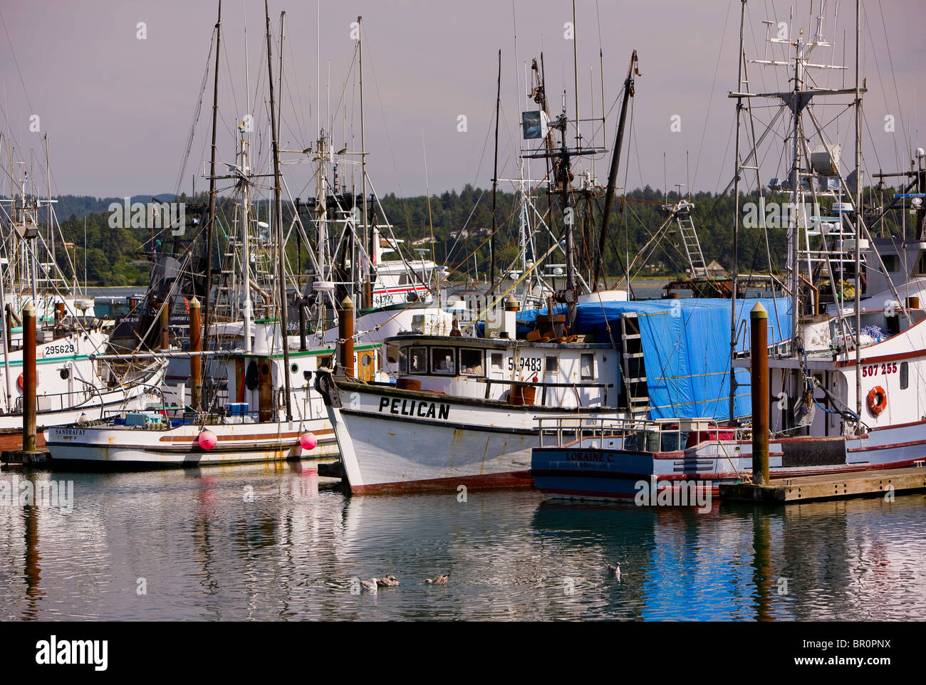 Ship usa fishing not alaska hi-res stock photography and images - Alamy
