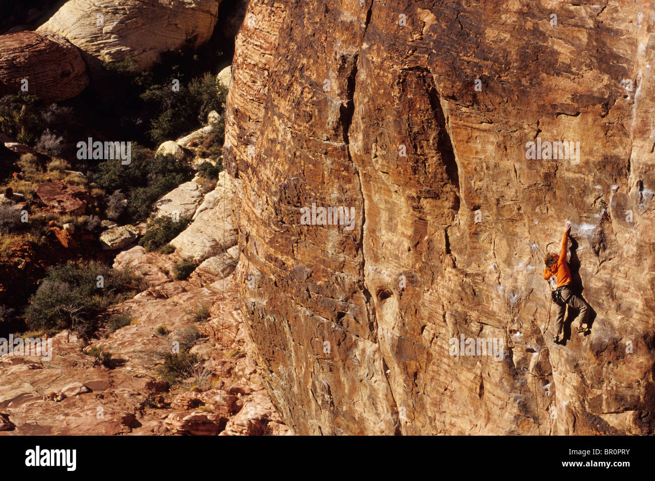 Female rock climber. Mr. Choad's Wild Ride, 5.11b, Sunny and Steep ...