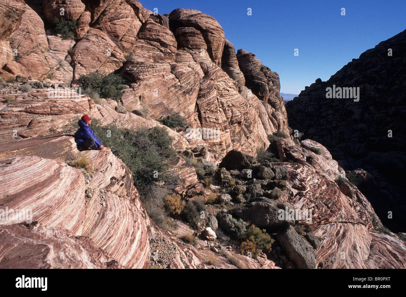 Rock climber red rocks las hi-res stock photography and images - Alamy