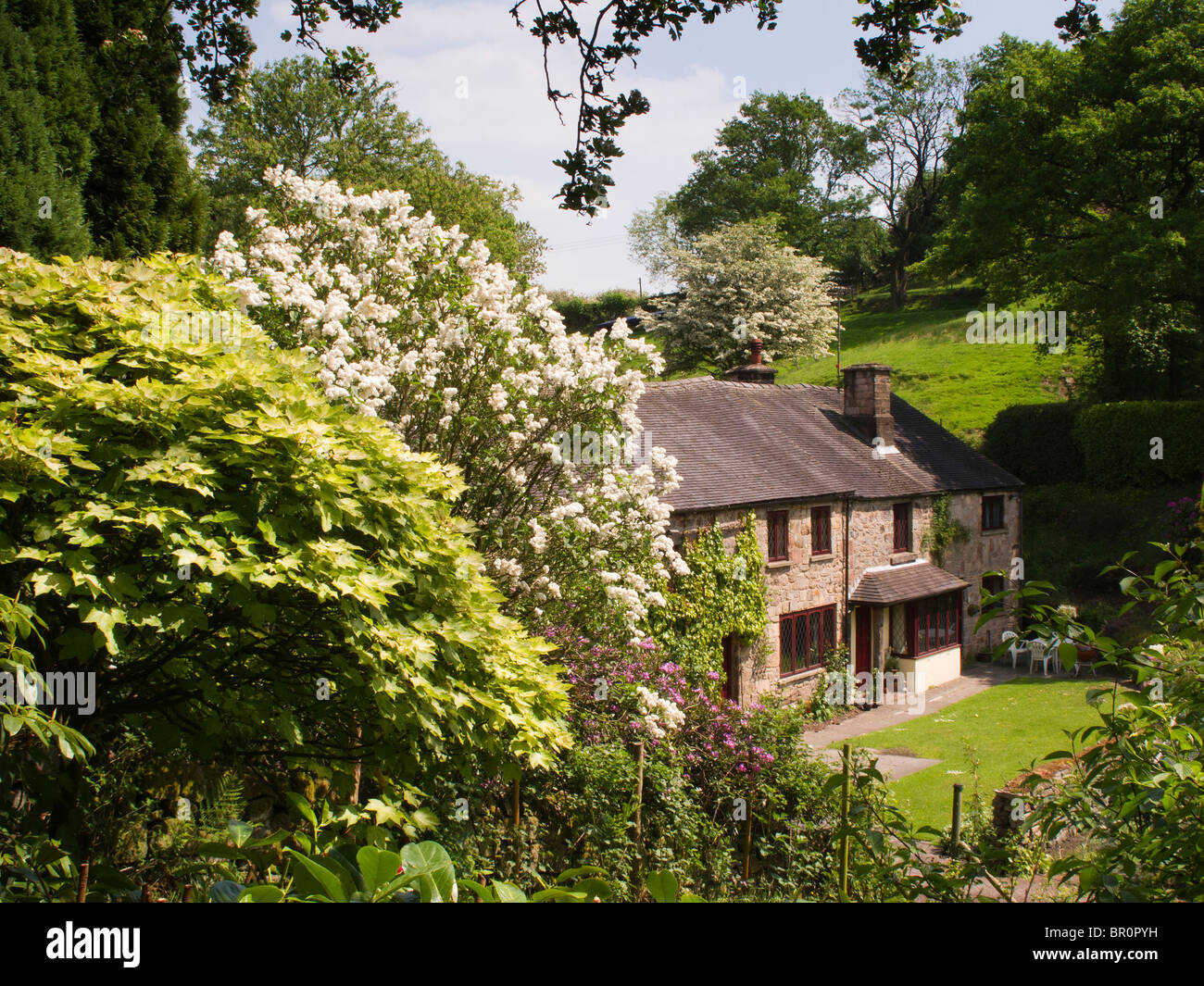UK; England; Cheshire, Congleton, Mossley, attractive stone built ...