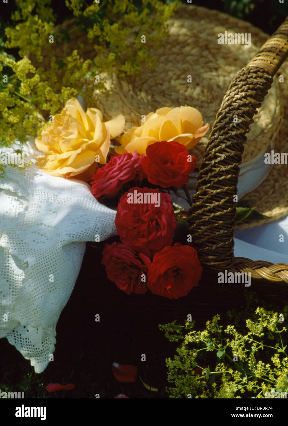 Still-Life of red and yellow roses in basket with white cloth Stock ...