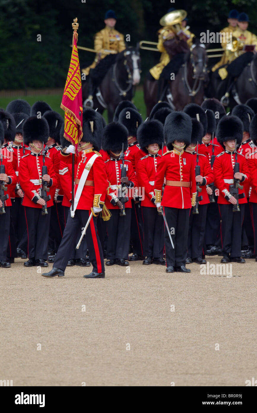 Trooped 2nd battalion grenadier guards hi-res stock photography and ...