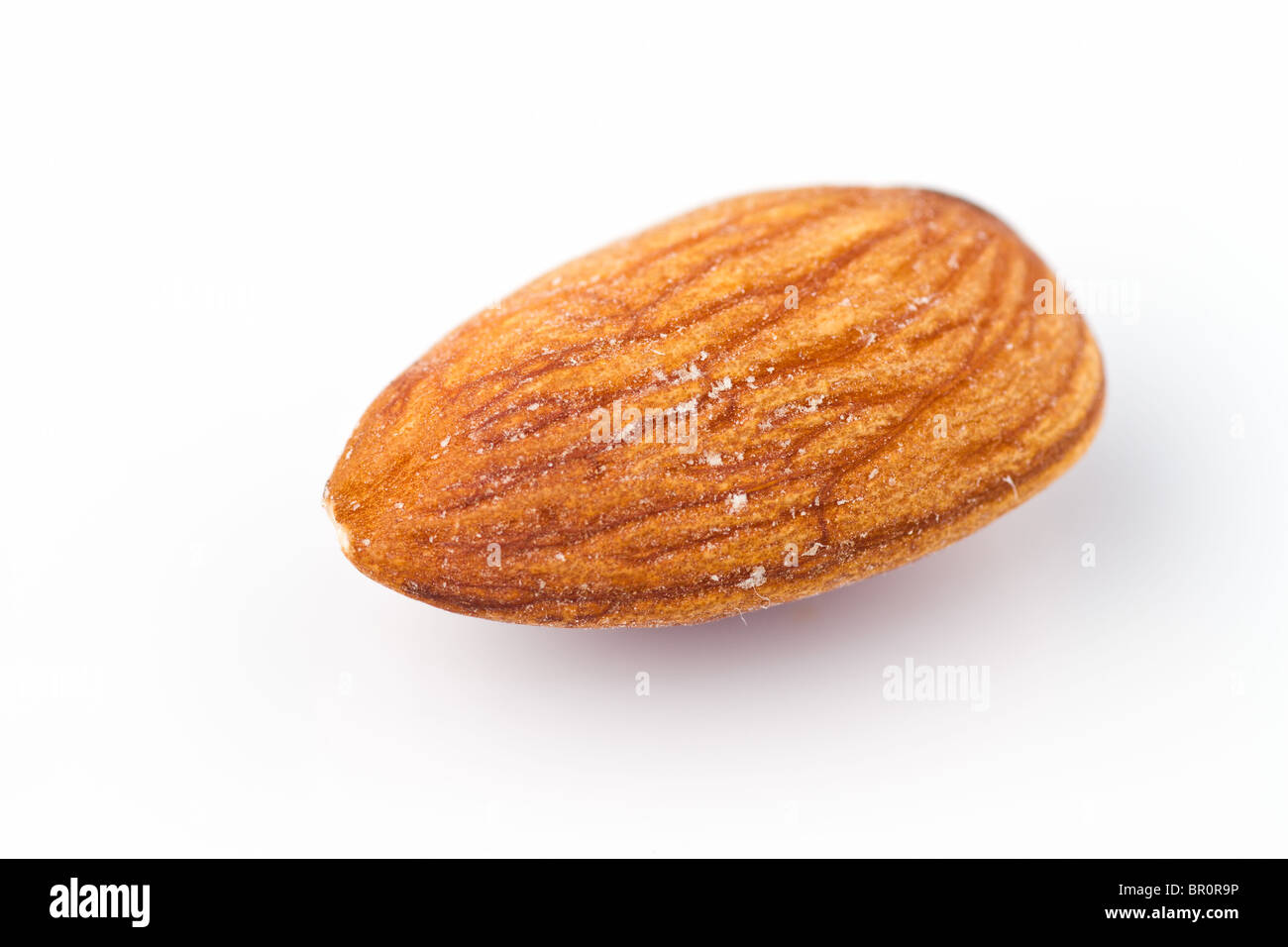 Magnesium calcium Cut Out Stock Images & Pictures - Alamy