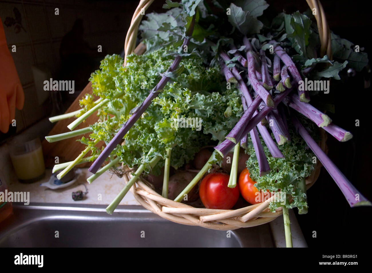 A basket of organic vegetables Stock Photo - Alamy