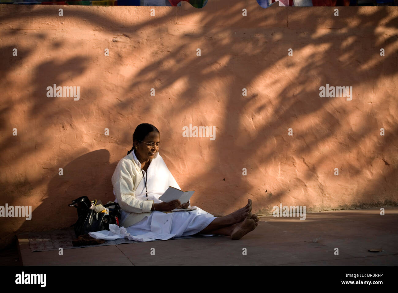 Mulagandha Kutir Vihara temple "Isipatana Deer Park" where Buddha ...