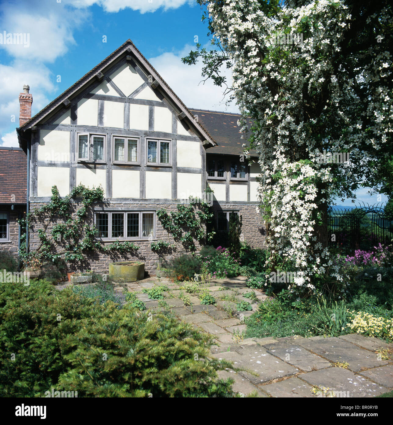 Clematis house hi-res stock photography and images - Alamy