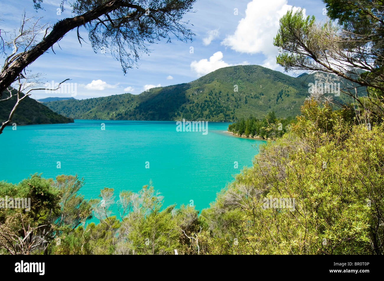 New Zealand, South Island, Marlborough Sounds. View of Nydia Bay from ...