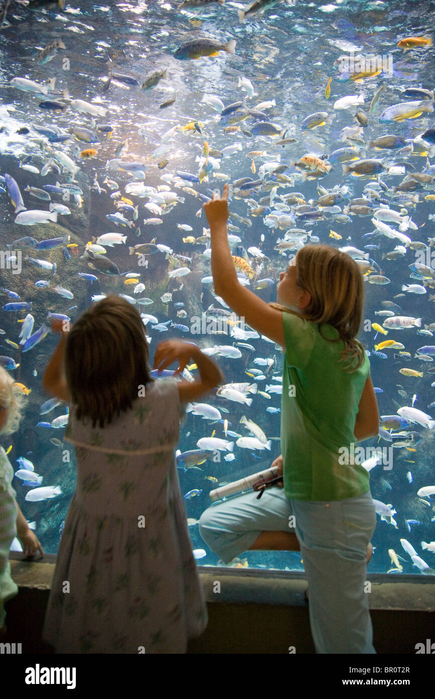 Two young girls (age 5 and 10) marvel a fish in aqaruim at Toronto Zoo ...
