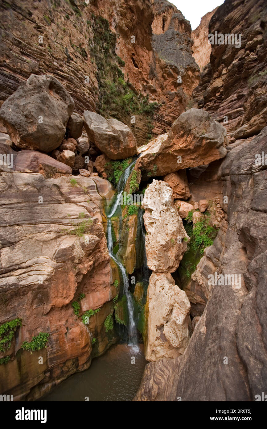 Elves Chasm, Grand Canyon, Arizona Stock Photo - Alamy