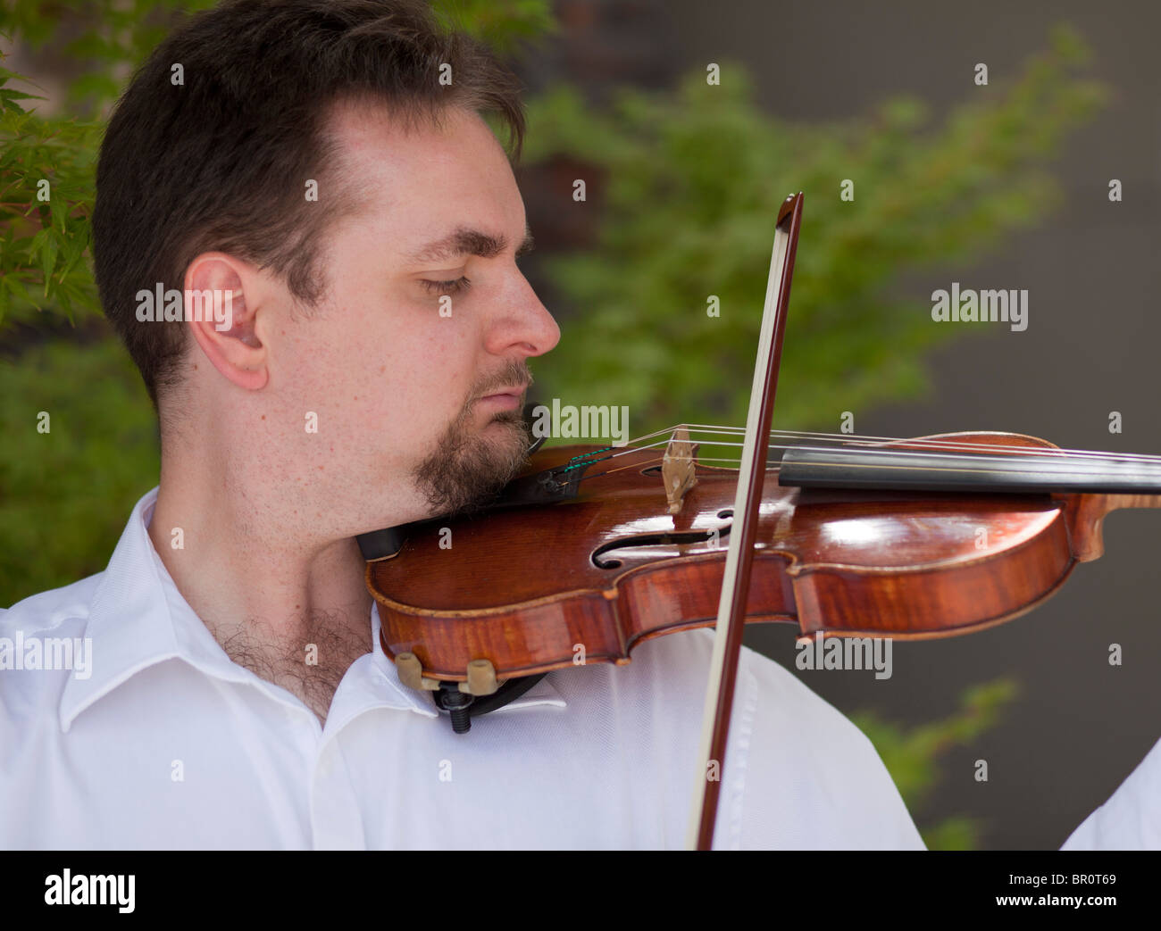 Male Violinist High Resolution Stock Photography and Images - Alamy