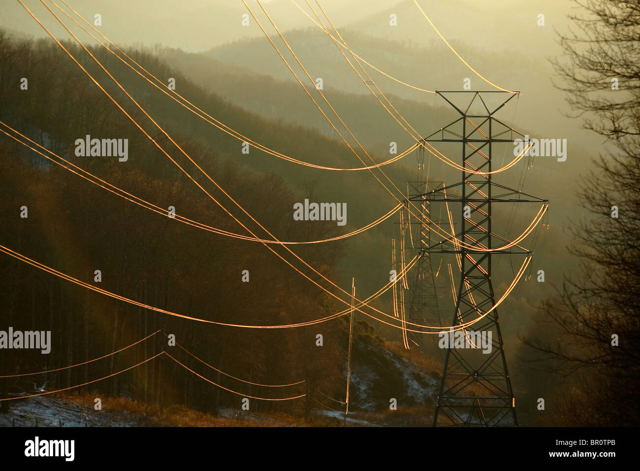 Power transmission lines reflect the sunset glow as they head up and ...