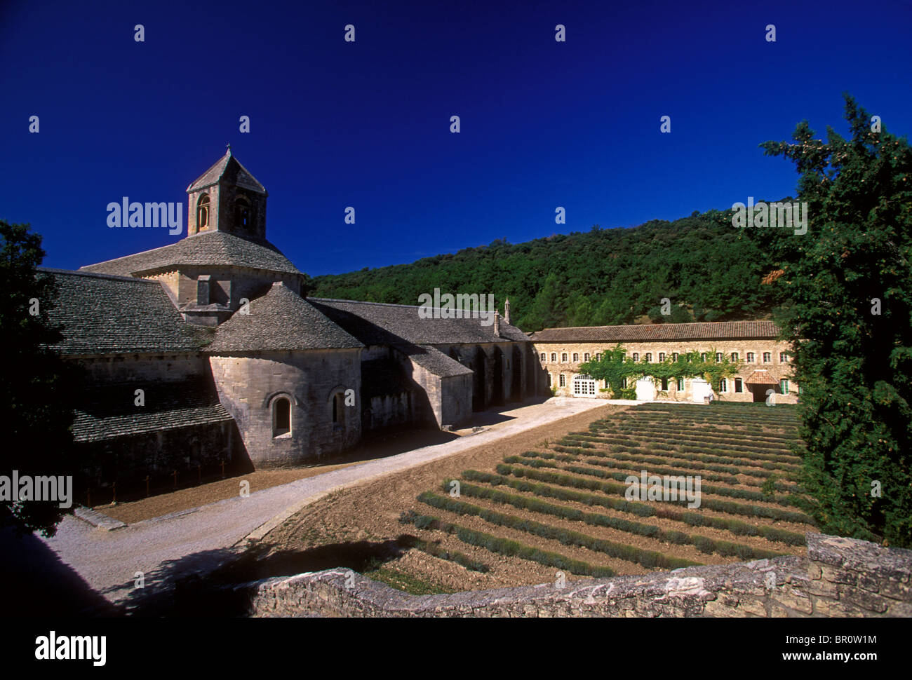 The romanesque cistercian abbey of notre dame of senanque hi-res stock ...