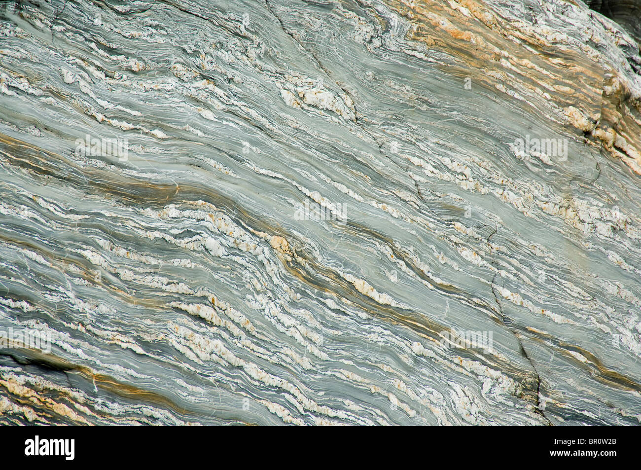 New Zealand, South Island, Westland National Park. Water polished ...