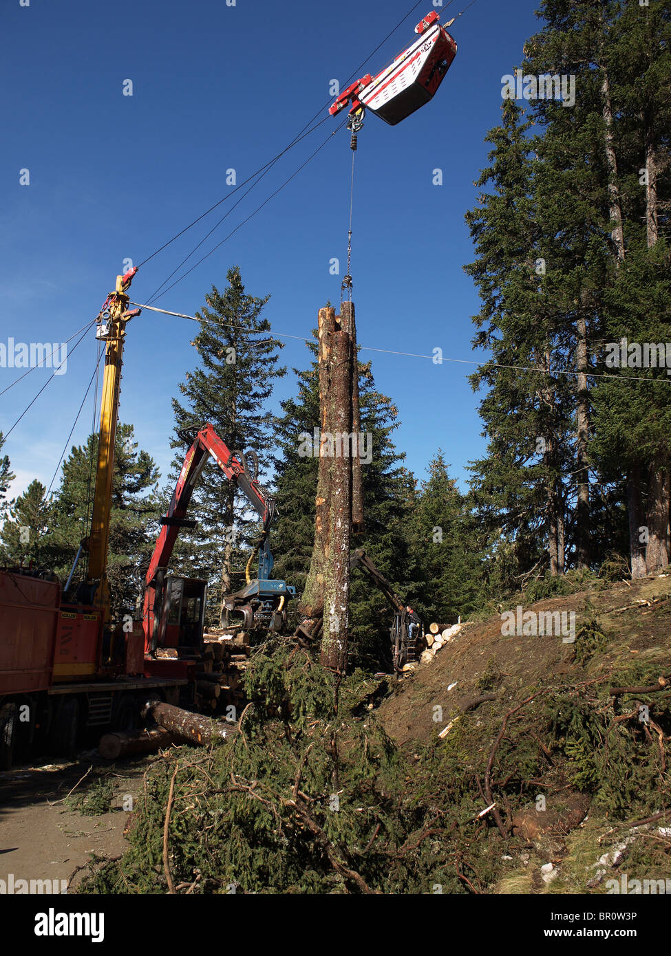 Mechanised logging operation a transporter on an an overhead wire rope ...