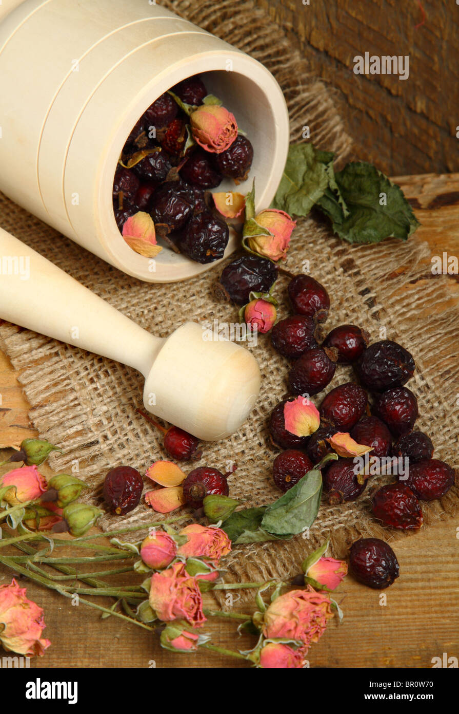 Wooden mortar and scattered rose hips on the sacking Stock Photo - Alamy