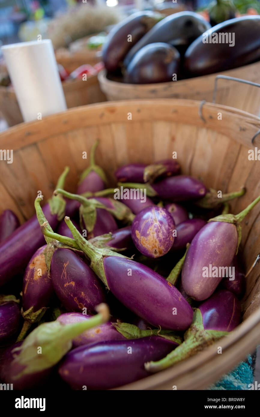 eggplant japanese bright purple nasu fresh organic produce vegetable ...
