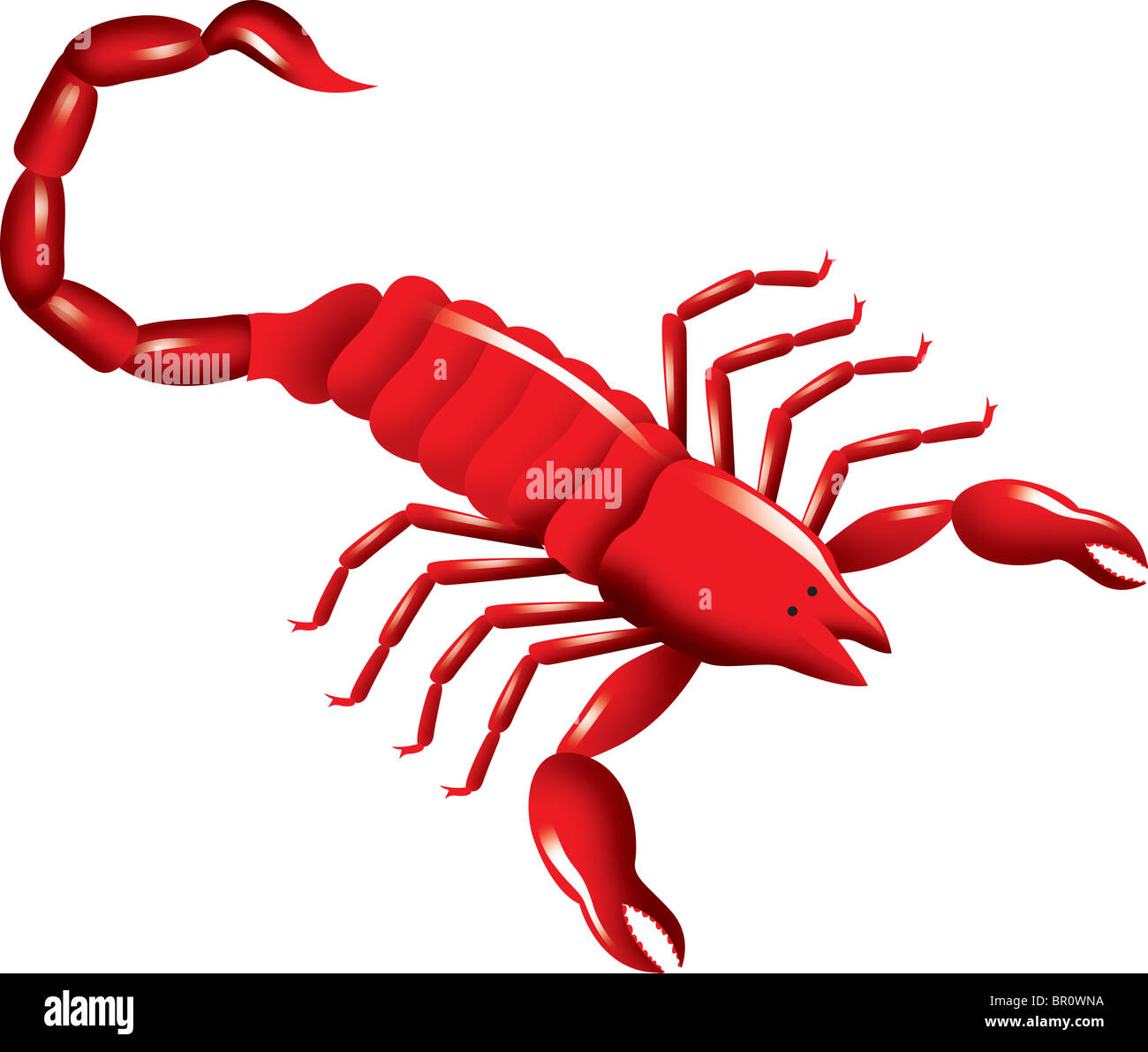 Scorpio Cut Out Stock Images And Pictures Alamy