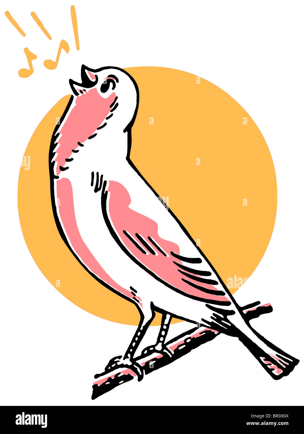 Singing bird drawing hi-res stock photography and images - Alamy