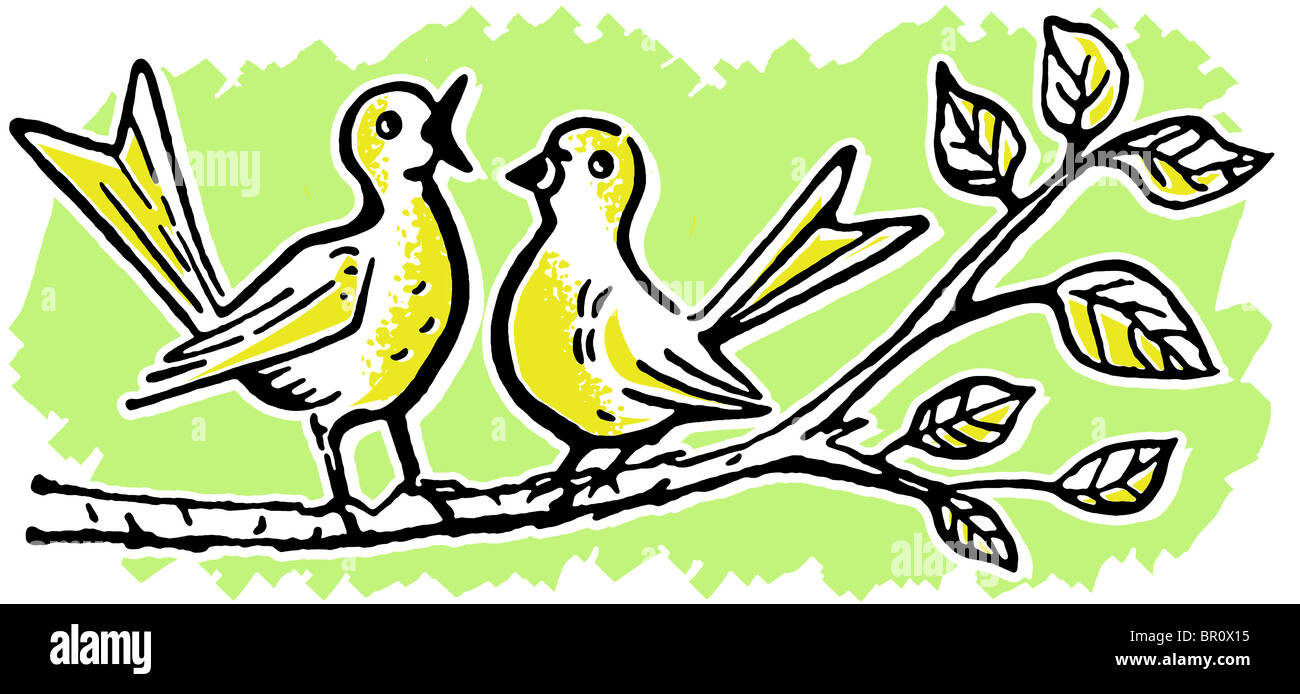 Drawing two birds on branch hi-res stock photography and images - Alamy
