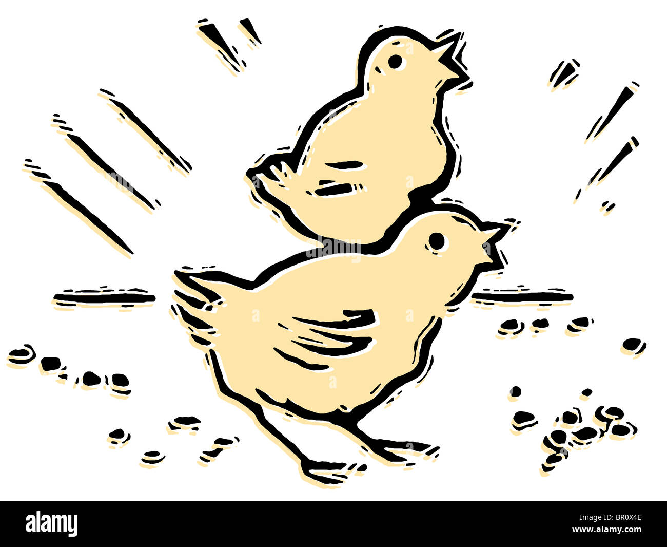 Two small chirping chicks Stock Photo - Alamy