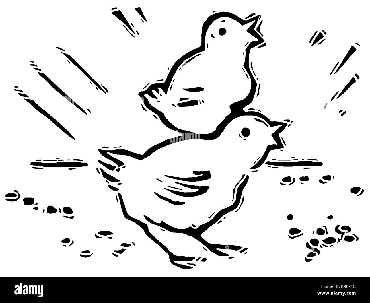 Chick outdoors Black and White Stock Photos & Images - Alamy