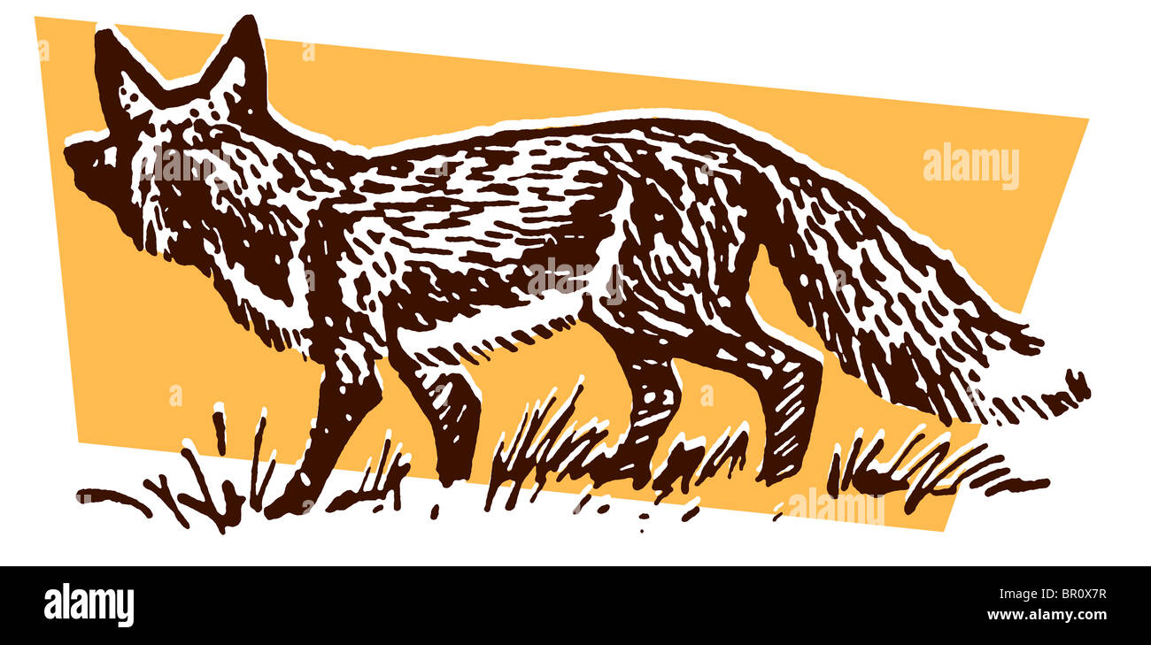 An illustration of a prowling fox Stock Photo - Alamy