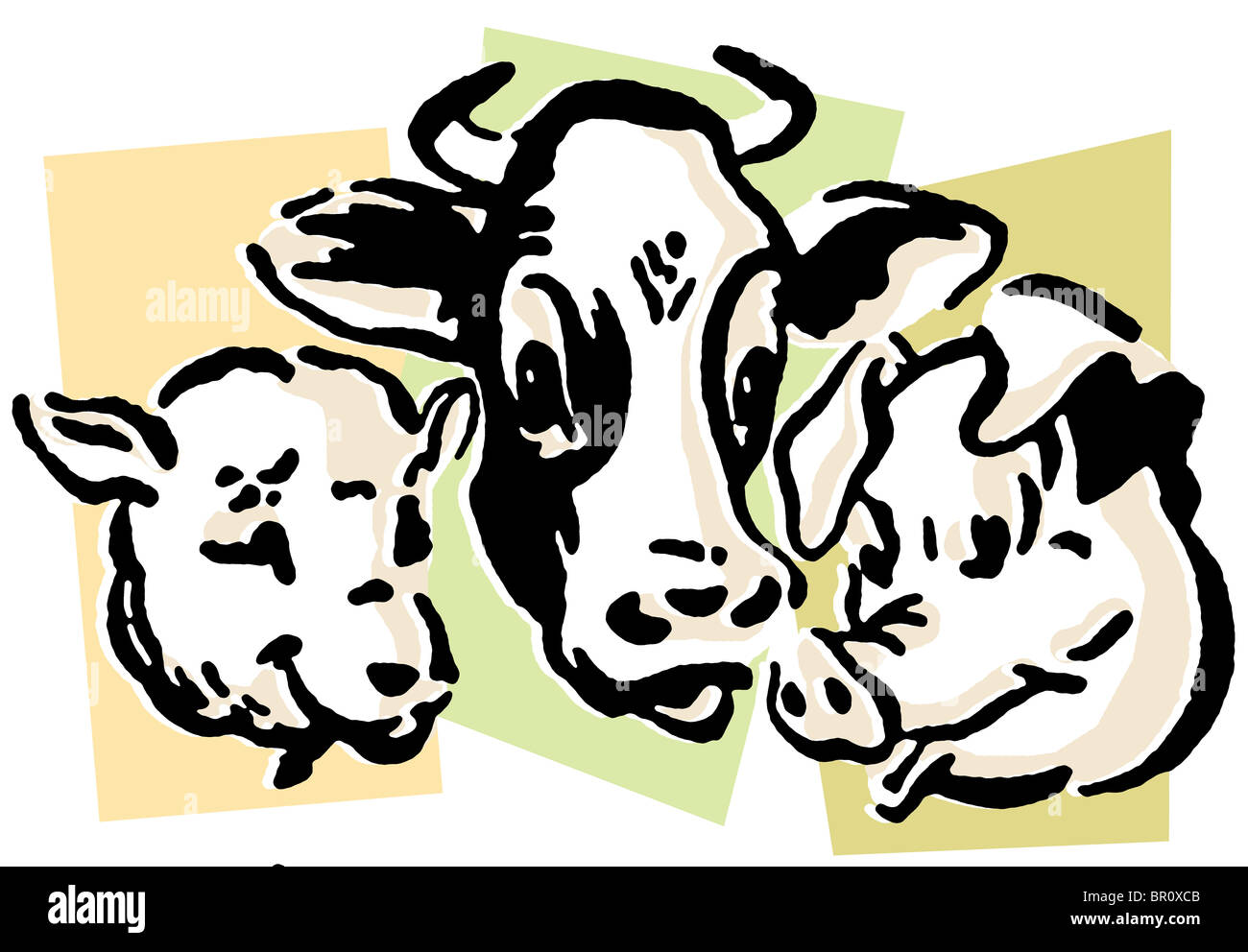 A portrait of a cow Stock Photo - Alamy